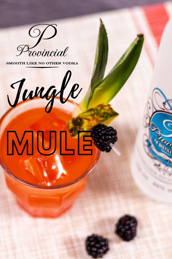 Recipes - Radouga Distilleries